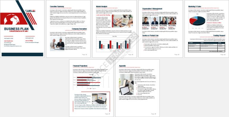21+ FREE MS Word Business Plan Templates, Examples & Samples