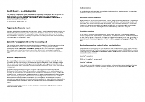 24+ Professional Audit Report Templates for MS Word & Excel
