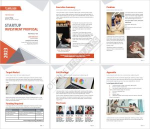 25+ Free Investment Proposal Templates for Startups | DOCS