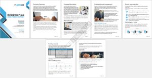 21+ FREE MS Word Business Plan Templates, Examples & Samples