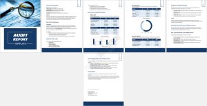 24+ Free Business Report Templates for Any Industry - Docs