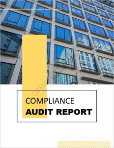 24+ Professional Audit Report Templates for MS Word & Excel