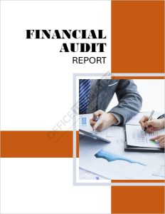 24+ Professional Audit Report Templates for MS Word & Excel