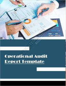 24+ Professional Audit Report Templates for MS Word & Excel